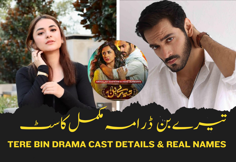 Tere Bin Drama Cast, Release Date, Timings, Story & Episode 1,17,19 ...